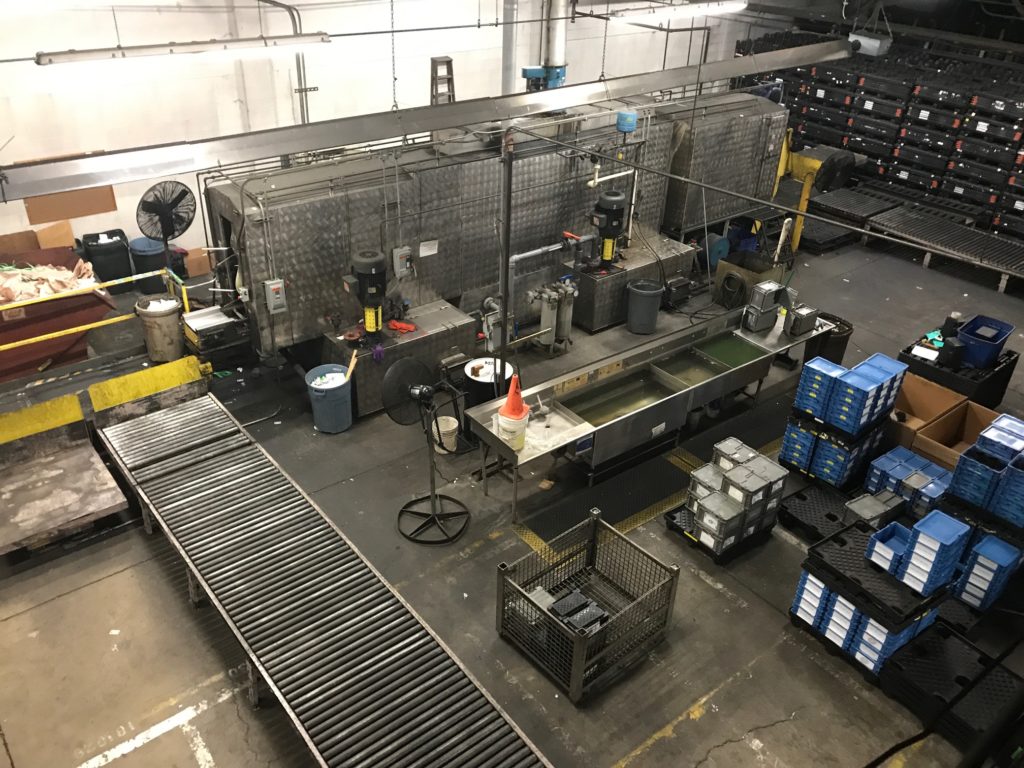 Regal-3 - D+S Distribution | D+S Distribution, Inc.